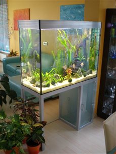 Aquasymbioza.sk - akvárium na mieru | aquasymbioza.sk